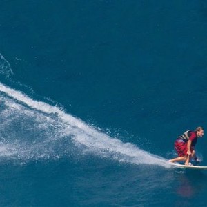 BoardHeads - Rotten Tomatoes