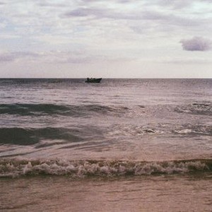 Cocote - Rotten Tomatoes