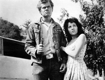 Arch Hall Jr. Filmography