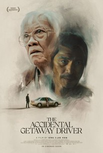 The Accidental Getaway Driver | Rotten Tomatoes