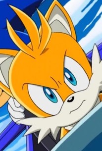 Sonic X: Season 1, Episode 8 - Rotten Tomatoes