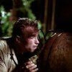 Collateral Damage - Rotten Tomatoes