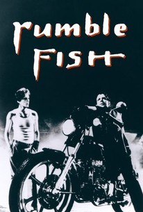 Rumble Fish | Rotten Tomatoes