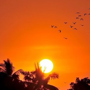 Ramkali - Rotten Tomatoes