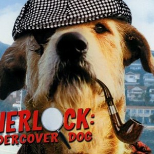 Sherlock Bones, Undercover Dog - Rotten Tomatoes