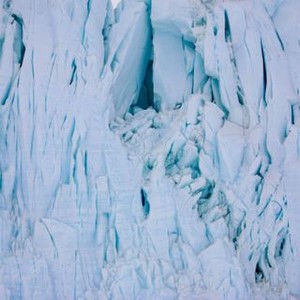 Antarctica: A Year on Ice - Rotten Tomatoes