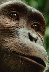 Our Universe: Season 1, Episode 2 | Rotten Tomatoes