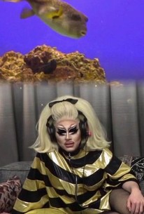 Williams Stream: Season 1, Episode 329 | Rotten Tomatoes