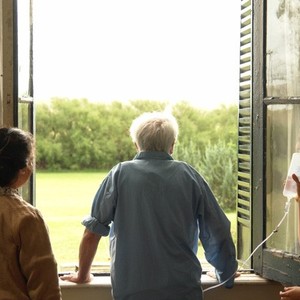 The Window - Rotten Tomatoes