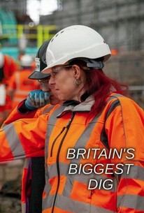 Britain's Biggest Dig | Rotten Tomatoes