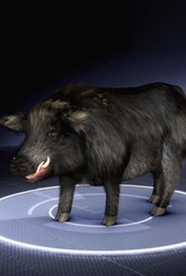 MonsterQuest: Season 2, Episode 1 | Rotten Tomatoes