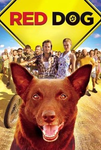 Red Dog | Rotten Tomatoes