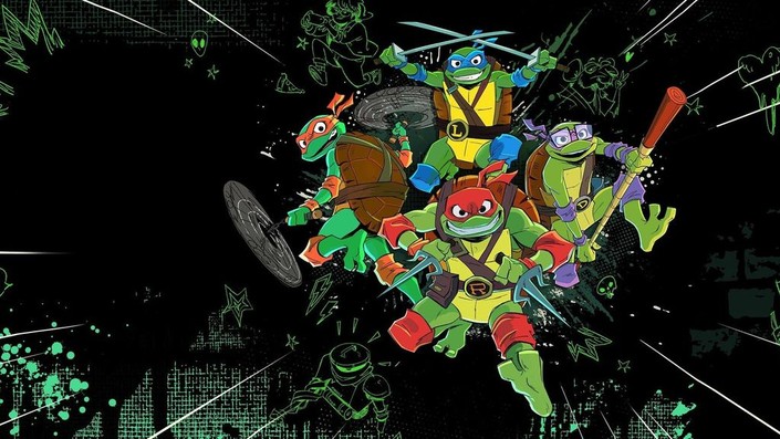 Ninja Turtles Tv Series