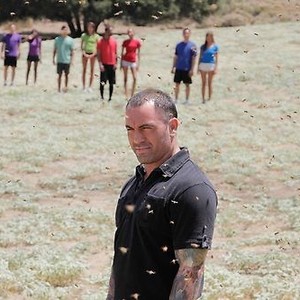 Joe Rogan - Rotten Tomatoes