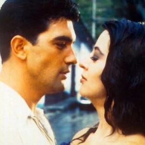 New Land - Rotten Tomatoes