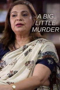 A Big Little Murder: Season 1 | Rotten Tomatoes