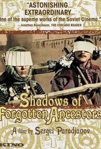 Shadows of Forgotten Ancestors | Rotten Tomatoes