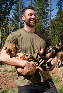 My Pack Life: Season 1, Episode 1 | Rotten Tomatoes