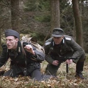 Nicky Bell - Rotten Tomatoes