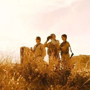 Shadow Wolves - Rotten Tomatoes