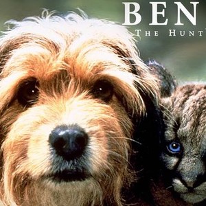 Benji the Hunted - Rotten Tomatoes