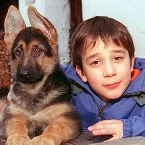 Baby Rex: The Little Inspector - Rotten Tomatoes