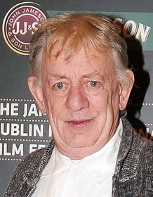 Mick Lally - Rotten Tomatoes