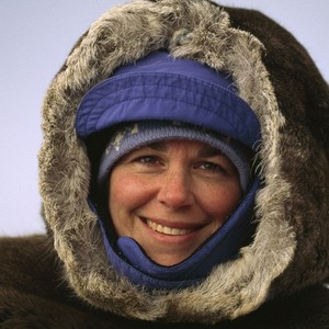 Arctic Tale - Rotten Tomatoes