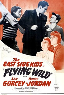 Flying Wild | Rotten Tomatoes
