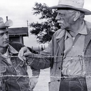 Hud - Rotten Tomatoes