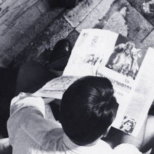 Three Sad Tigers - Rotten Tomatoes