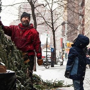 Tree Man - Rotten Tomatoes