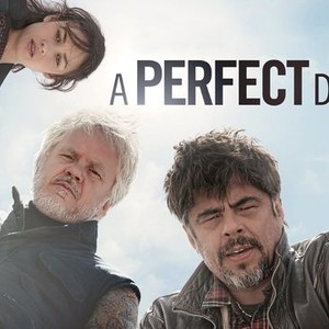 A Perfect Day - Rotten Tomatoes