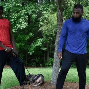 Sneaky Links - Rotten Tomatoes