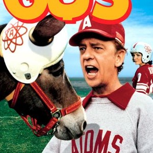 Gus - Rotten Tomatoes