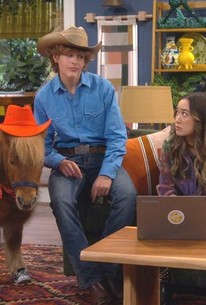 Erin & Aaron: Season 1, Episode 7 | Rotten Tomatoes