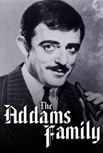 The Addams Family | Cast and Crew | Rotten Tomatoes
