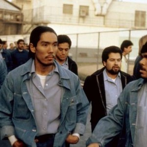 Yuji Okumoto - Rotten Tomatoes