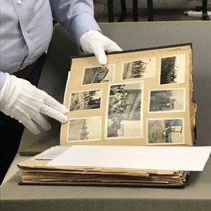 Rise Again: Tulsa and the Red Summer - Rotten Tomatoes