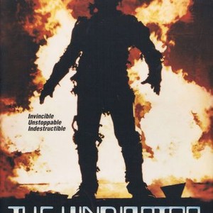The Vindicator - Rotten Tomatoes