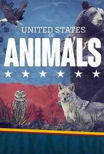 United States of Animals: Season 1 | Rotten Tomatoes