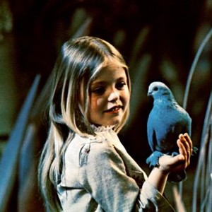 Patsy Kensit-Healy - Rotten Tomatoes