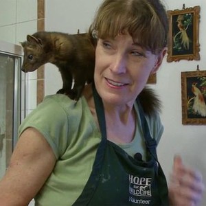 Hope in the Wild: Season 1, Episode 17 - Rotten Tomatoes