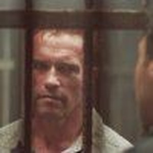 Collateral Damage - Rotten Tomatoes