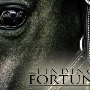 Finding Fortune - Rotten Tomatoes