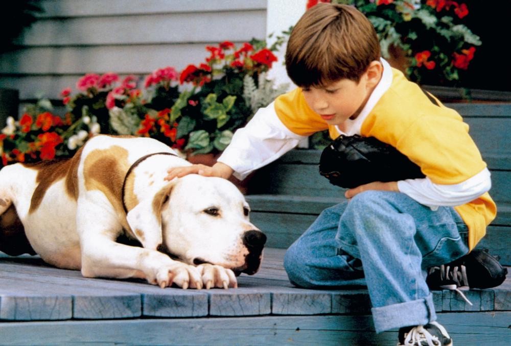 Kevin Chevalia Actor