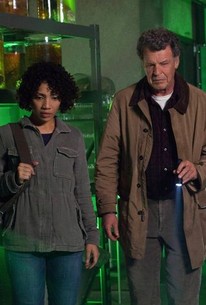 Fringe: Season 5, Episode 7 | Rotten Tomatoes