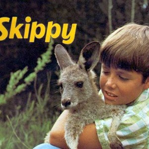 Skippy: Season 3, Episode 13 - Rotten Tomatoes