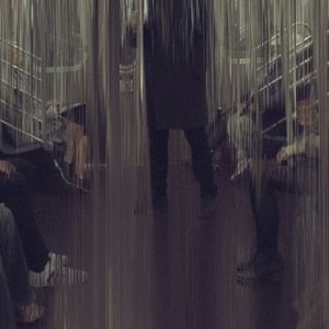 The Great Hack - Rotten Tomatoes