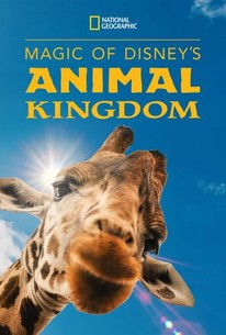 Magic of Disney's Animal Kingdom: Season 1, Episode 345 - Rotten Tomatoes